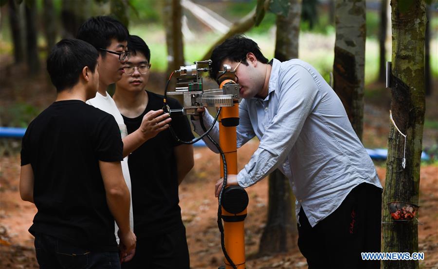 Robot starts on-site rubber tapping trial run in China's Hainan - Focus ...