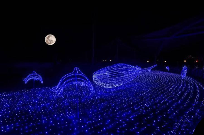 Pics : Experience a traditional Haikou Lantern Festival - Focus on ...