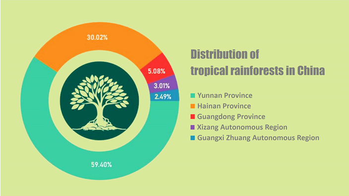 All you need to know about the Hainan Tropical Rainforest National Park ...