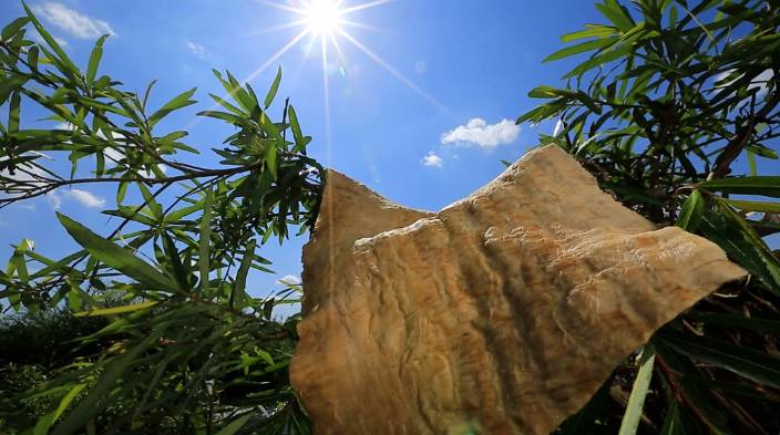 Tree Bark Cloth: A living fossil of the Li textile culture ...