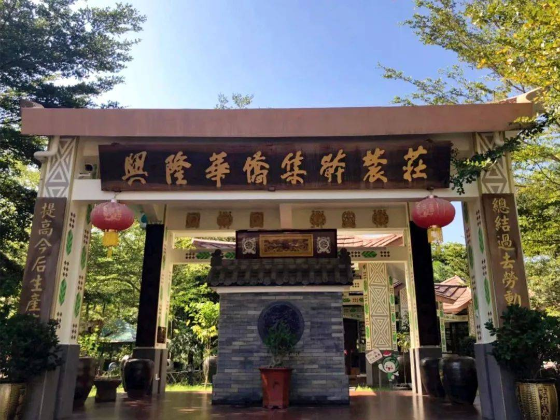 Guide to Xinglong's Coffee Valley - Where to Go - hiHainan