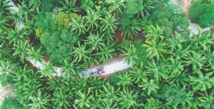 HICN - Homepage - Hainan News & Top Stories, China News, World News ...