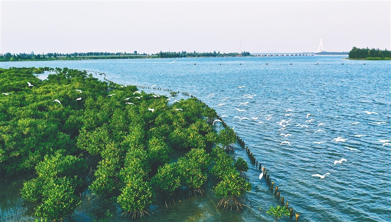 "Crabtivating" Hainan - NihaoHainan - hiHainan