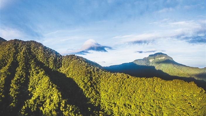 Exploring the Li - Shen Nian: The slow pace of life on Limu Mountain ...