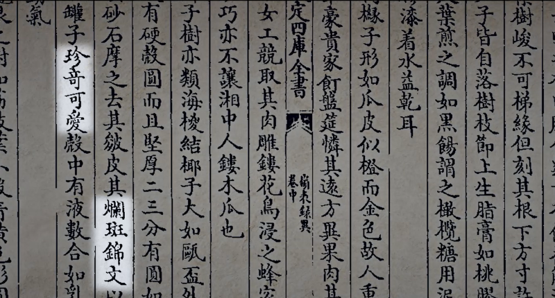 Coconut Carving: Splendidly Intricate and Oddly Adorable - NihaoHainan ...