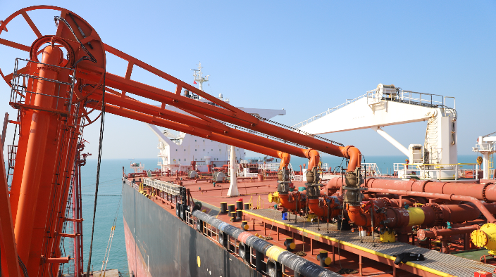 Import procedures optimized in Hainan Yangpu Port - Focus on Hainan ...