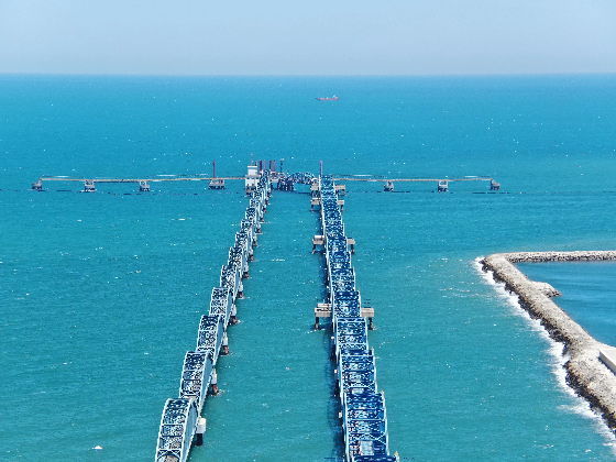 Import procedures optimized in Hainan Yangpu Port - Focus on Hainan ...