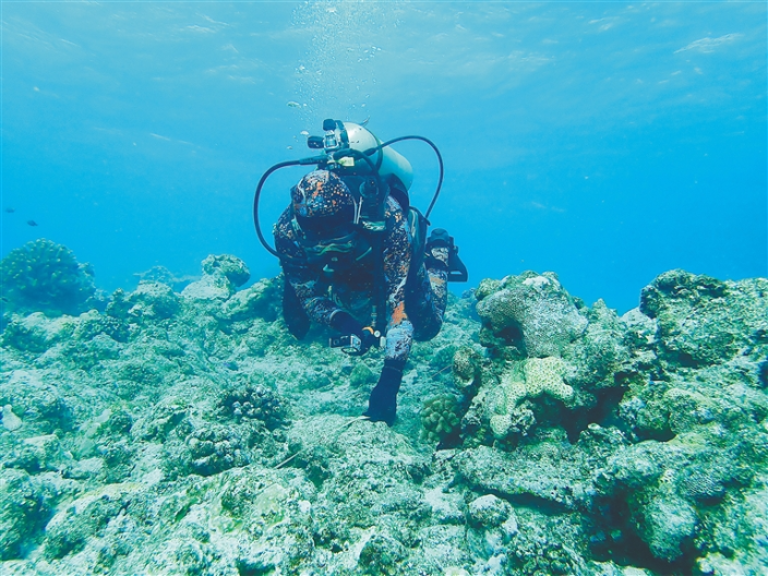 Technology to the rescue! Hi-tech Hainan environmental victories ...