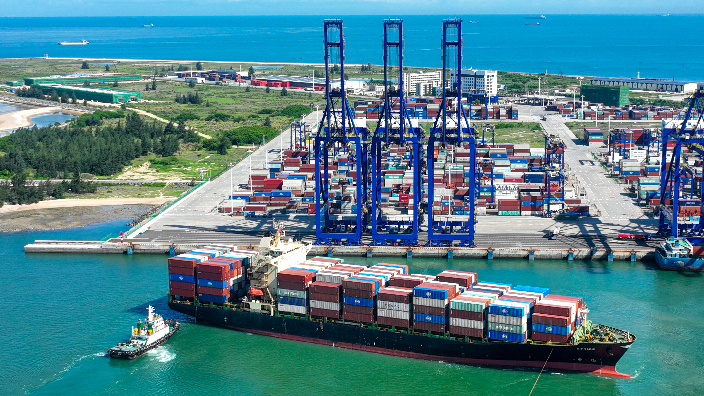 Yangpu Port: Coral restoration at the international shipping hub ...