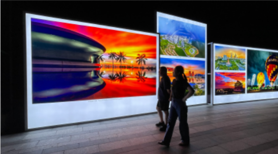 Make art part of your daily life in the stunning city of Haikou - Focus ...